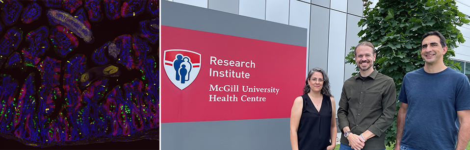 Home - Research Institute of the McGill University Health Centre - RI-MUHC